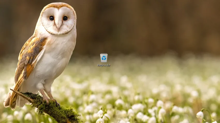Microsoft potvrdio Recycle Bin bag u svim Windows verzijama